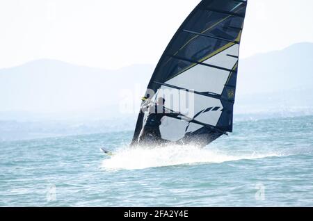 Windsurfing in the evening on a longboard at Stock Photo - Alamy