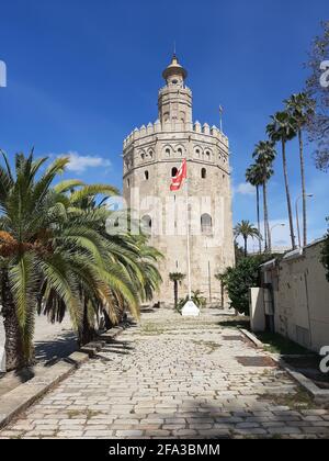 Golden tower or Torre del Oro with palm trees, a medieval military ...