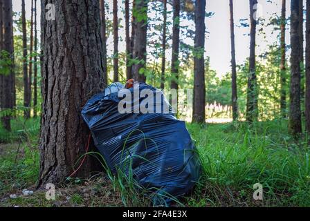 Plastic waste left in forest. Concept of plastic pollution and ...