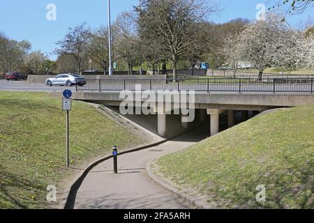 roundabout and pedestrian crossing road sign Stock Photo - Alamy