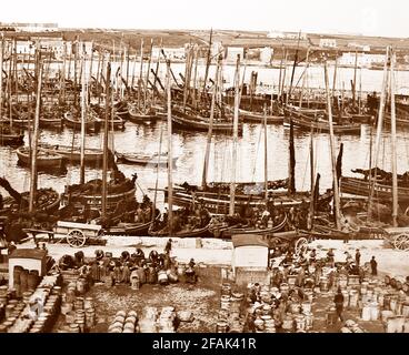Wick Harbour Herring Boats Scotland Victorian period Stock Photo - Alamy