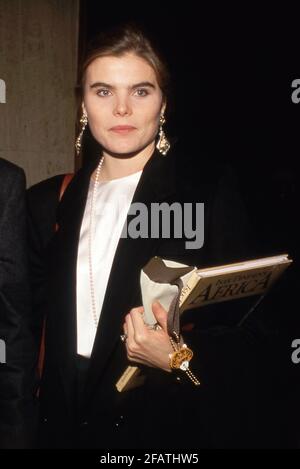 Mariel Hemingway Circa 1980's Credit: Ralph Dominguez/MediaPunch Stock ...