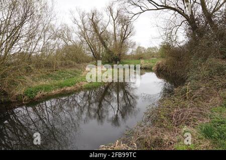 A walk along the River Cam near Hinxton, Cambridgeshire Stock Photo - Alamy