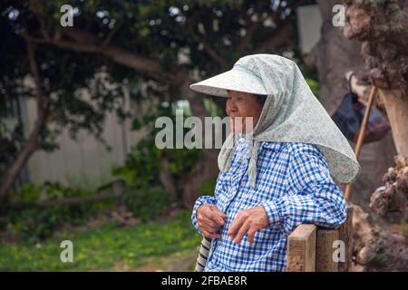 Elderly Japanese Ryukyuan women playing gateball, a Japanese version of ...