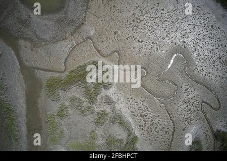 Aerial photo of mud flats of the Machipongo River, Accomack County ...