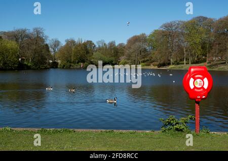 Moseley New Pool in spring, Swanshurst Park, Moseley, Birmingham ...