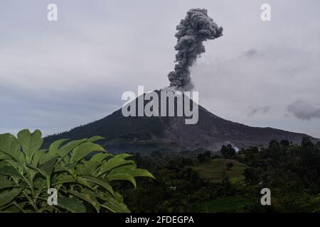 North Sumatra. 24th Apr, 2021. Photo taken on April 24, 2021 shows ...
