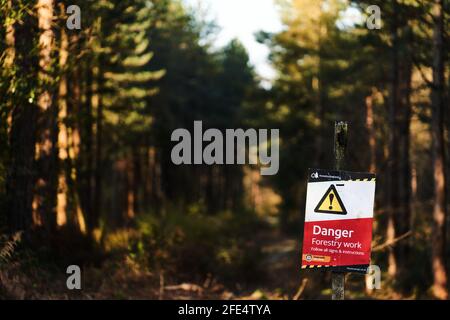 Danger Forestry work warning signs in a forest in Sussex Stock Photo ...
