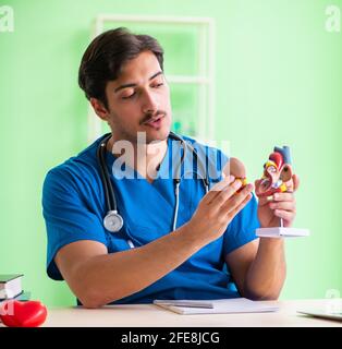 The doctor student explaining heart problems Stock Photo - Alamy