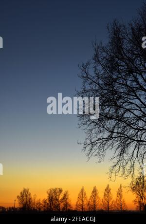 incredible reflections on the Muzza river Stock Photo - Alamy