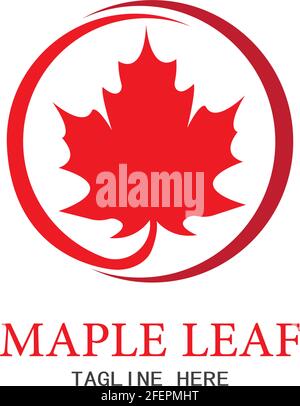 Maple logo icon design illustration Stock Vector Image & Art - Alamy