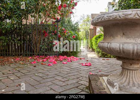 Closeup of colorful leisure stone bench outdoors Stock Photo - Alamy