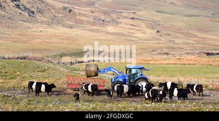 Black Hall farm at Cockley Beck, Duddon Valley, Cumbria, United Kingdom ...