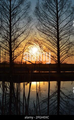 amazing sunset on the Muzza river Stock Photo - Alamy