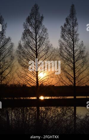 amazing sunset on the Muzza river Stock Photo - Alamy