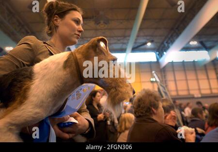 CRUFTS DOG SHOW AT BIRMINHAM NEC Stock Photo - Alamy