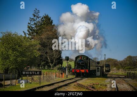 Great Western Railway 4500 Class No.4555 locomotive approaches Cranmore ...