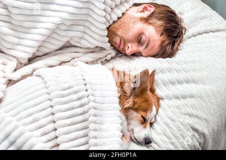 owner sleeps with his dog in bed under a blanket. White background ...