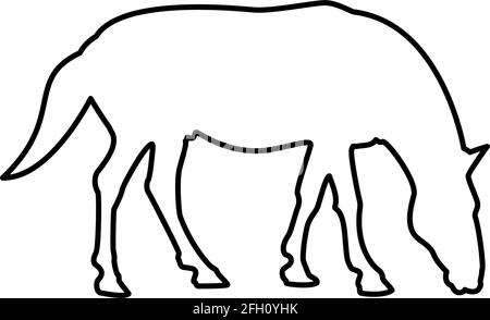 Steed Horse Equestrian Equine Stallion thoroughbred Mustang contour ...