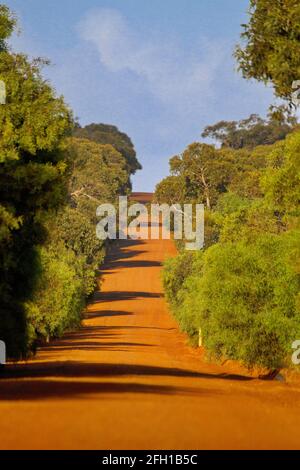 countryside in kangaroo island (australia Stock Photo - Alamy