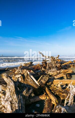 Rialto Beach, Mora, Olympic National Park, Washington, USA, North ...