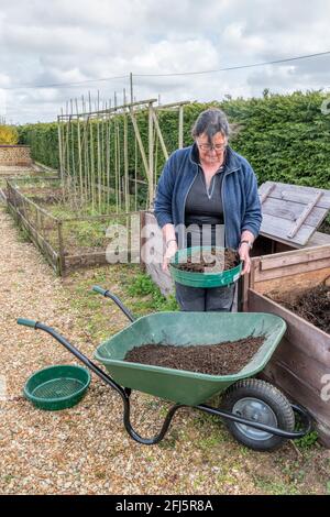 mature compost ready to use in garden produced in a community composter ...