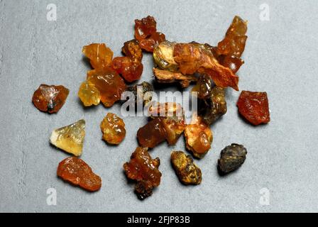 Commiphora habessinica resin (Commiphora abyssinica), incense resin ...