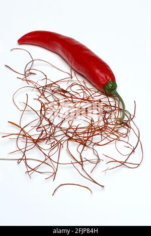Chili pod and chili threads, chili pepper pepper (Capsicum annuum ...