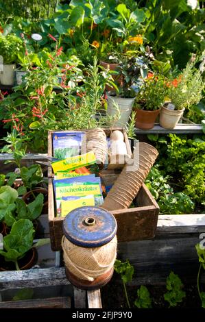 Herb garden, planting string, seeds Stock Photo - Alamy
