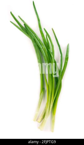 Spring onions are rich in vitamins,minerals and natural compound. Green ...
