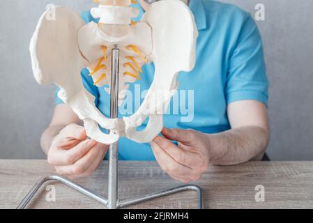 Ischial Tuberosity Muscles