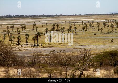 Africa, Tanzania, Lake Eyasi National Park onion farming Using field ...