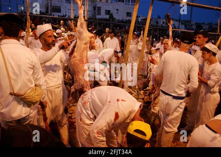 Israel, West Bank, Mount Gerizim, Samaritan Passover Sacrifice ceremony ...