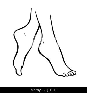 Line drawing of female legs. Pedicure, body care and beauty. Vector ...
