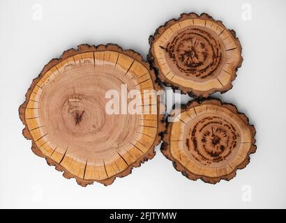 Large piece of round wood with growth rings on a white background ...