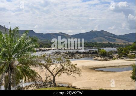 Gabon, Ogooué-Ivindo district, La Lopé, buffalo in La Lopé national ...