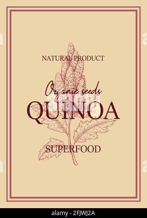 Hand drawn quinoa frame. Vector illustration in sketch style Stock ...