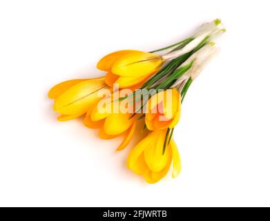 A closeup shot of blooming purple saffron crocus flowers Stock Photo ...