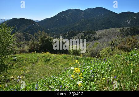 Springtime landscape with panoramic view of Parnon mountain range in ...