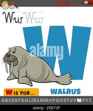 cartoon illustration of W letter for walrus Stock Vector Image & Art ...