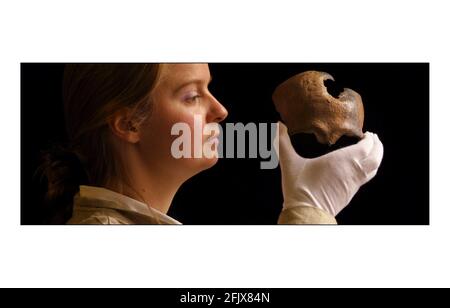 A Bronze Age skull retrieved from the banks of the river Thames at ...