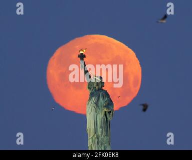 A Pink Moon sets behind the Statue of Liberty in New York City on ...