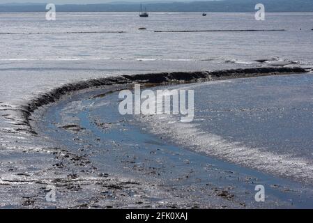 Mudflats of the River Dee Estuary at low tide, acting as the natural ...