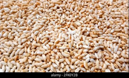 Churmure or murmure or moori, Puffed rice, food ingredient, Indian ...