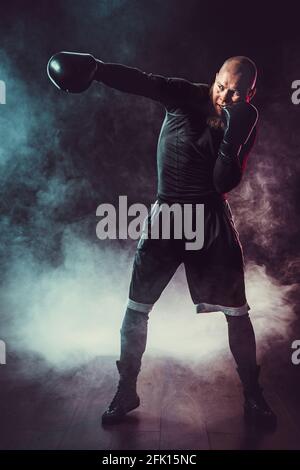 guy, hit, fight, fighting, strong, male, masculine, guard, blank ...