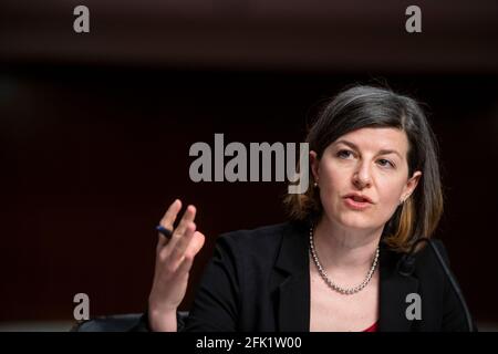 Elizabeth Field, Director, Defense Capabilities and Management ...