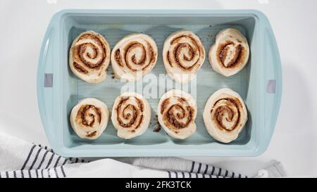 Flat lay. Unbaked cinnamon rolls in a blue baking pan Stock Photo - Alamy