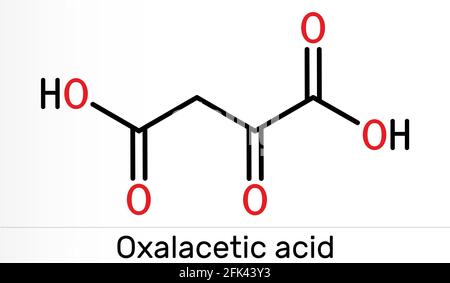 Oxaloacetic acid (oxaloacetate) metabolic intermediate molecule. 3D ...