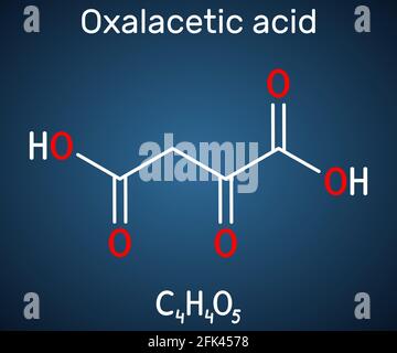 Oxaloacetic acid (oxaloacetate) metabolic intermediate molecule ...
