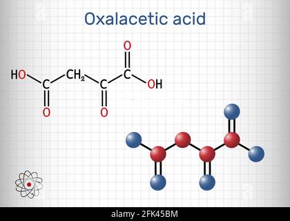 Oxaloacetic acid, oxalacetic acid, OAA, oxaloacetate molecule. It is ...